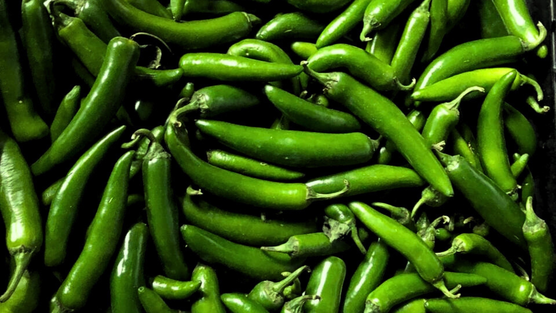 Chep optimiza distribución de CHILE-MEX GDL