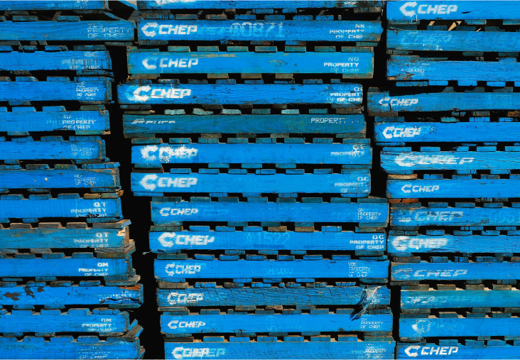 Brambles en el top 3 mundial de sostenibilidad según TIME - LogistixNews